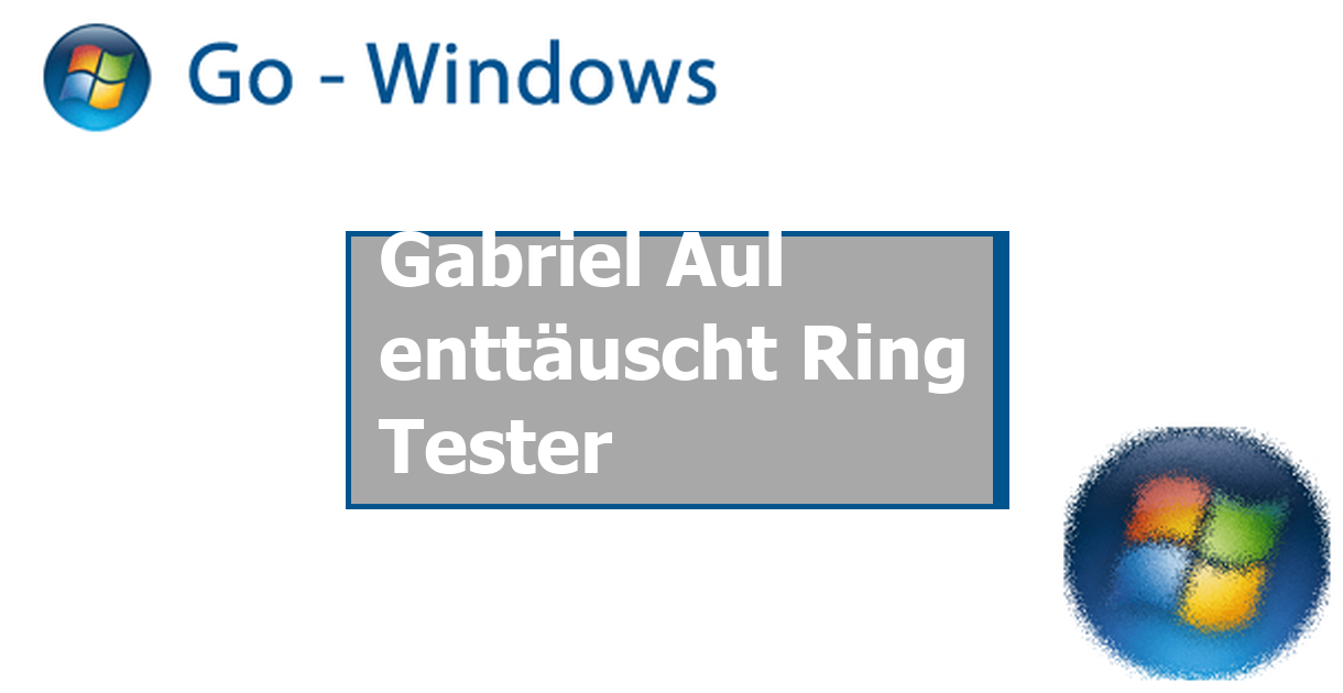 Gabriel Aul enttäuscht Ring Tester › Go Windows
